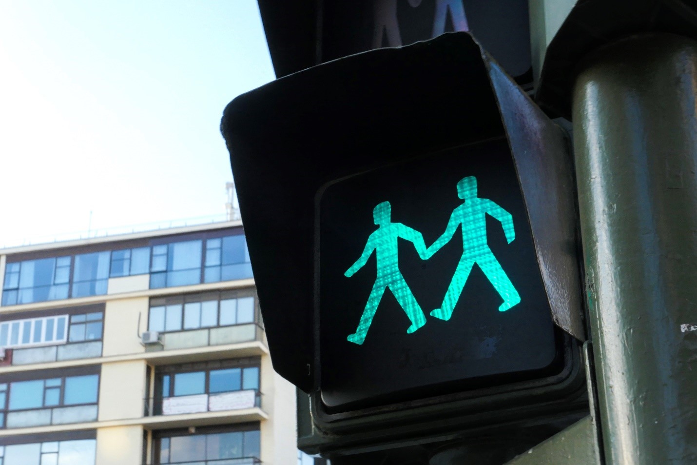 Crosswalk Companion - Pink Elephants