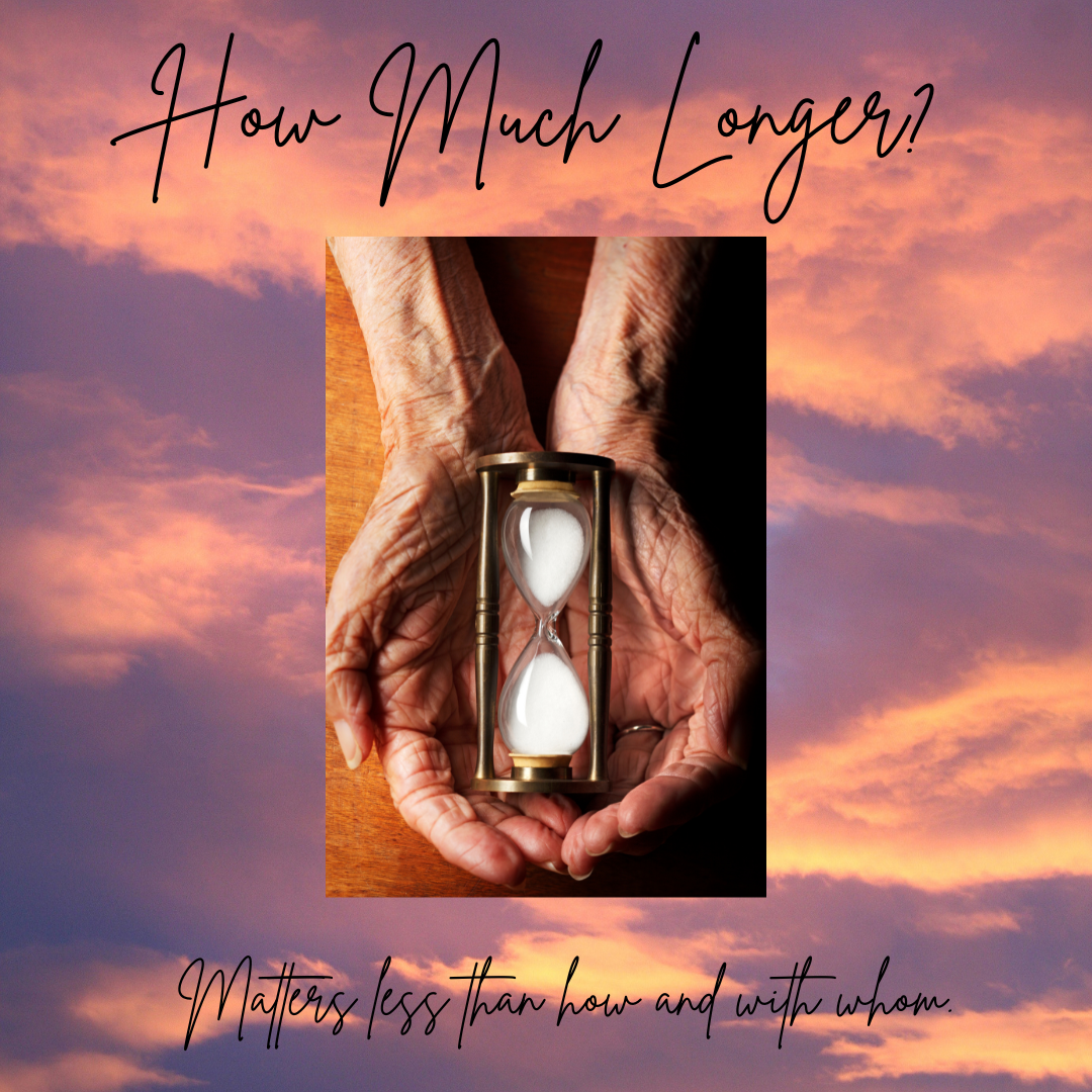 How Much Longer - Pink Elephants